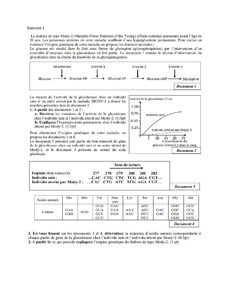4 Exercices Exp Inf | PDF