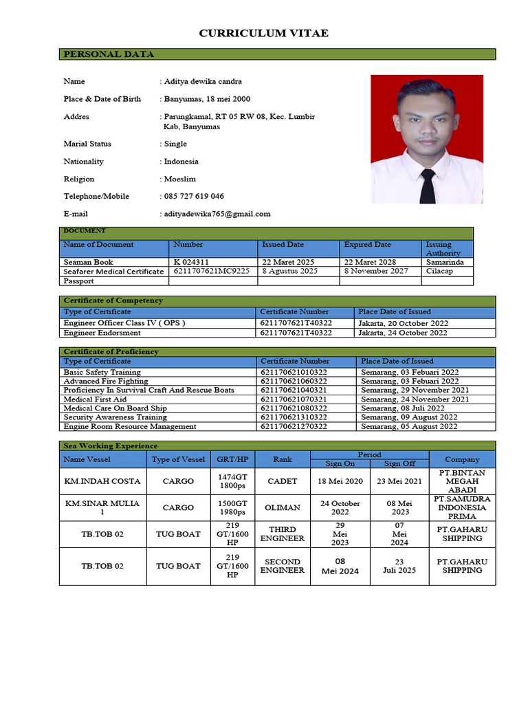 Cv Aditya Dewika Candra | PDF | Watercraft | Ships