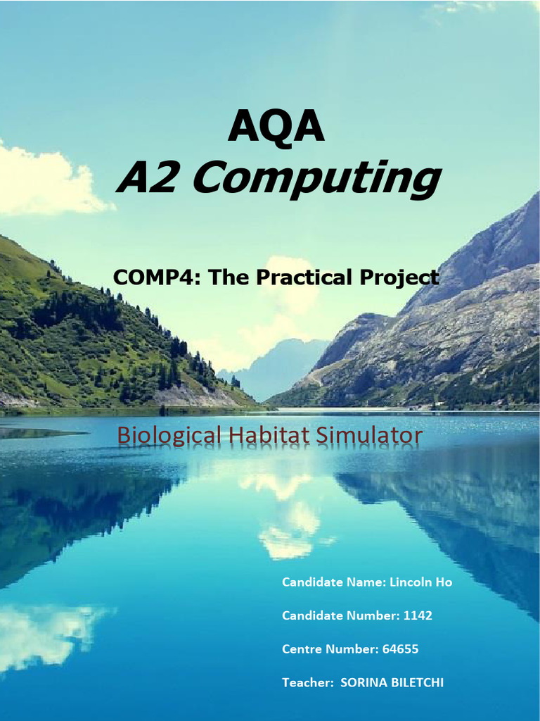 COMP4 Project Writeup | PDF | Simulation | Programming