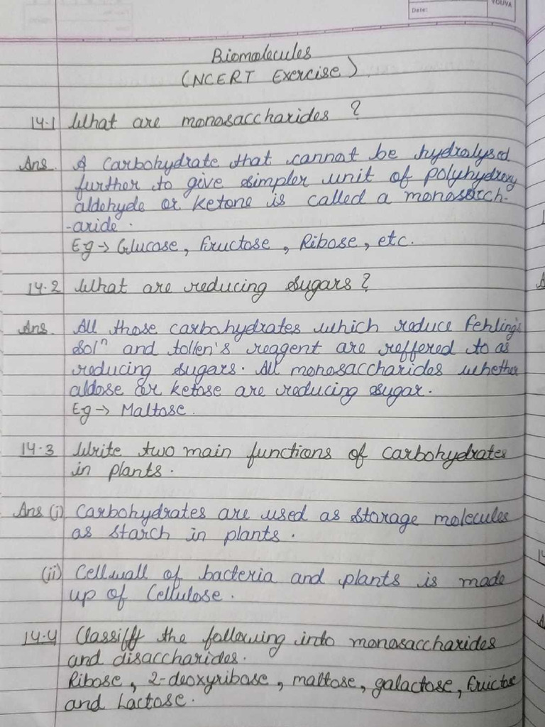 Biomolecules NCERT | PDF