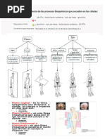 T.S Ciencias de La Salud Actv 1 y 2 P | PDF