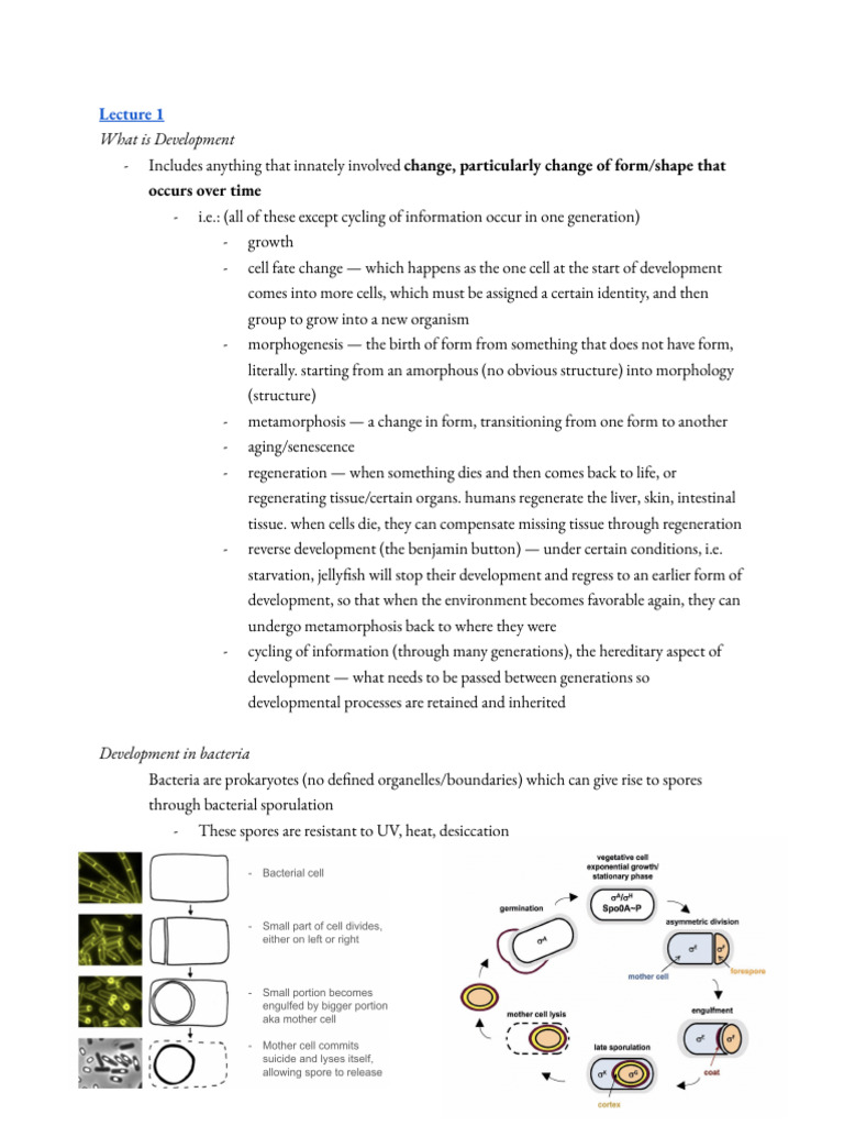 Understanding Developmental Biology | PDF | Epithelium | Cell Signaling