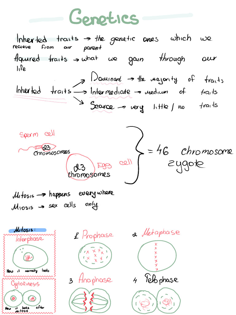 Bio:Geo | PDF