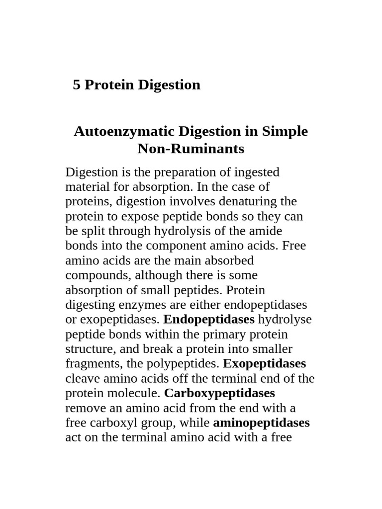 Protein Digestion | PDF | Trypsin | Digestion