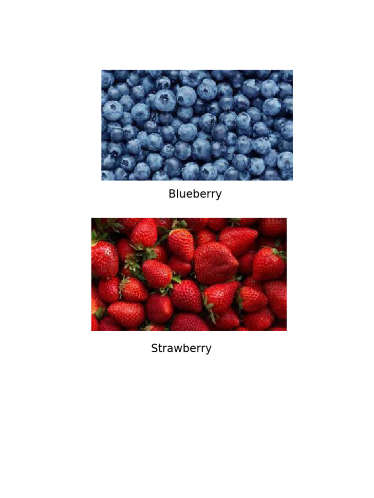 Berry | PDF