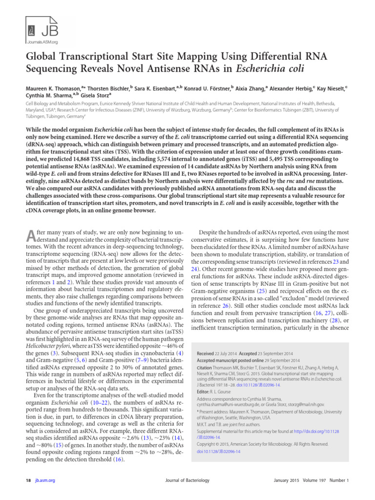 Mapping Antisense RNAs in E. coli | PDF | Transcriptome | Promoter ...