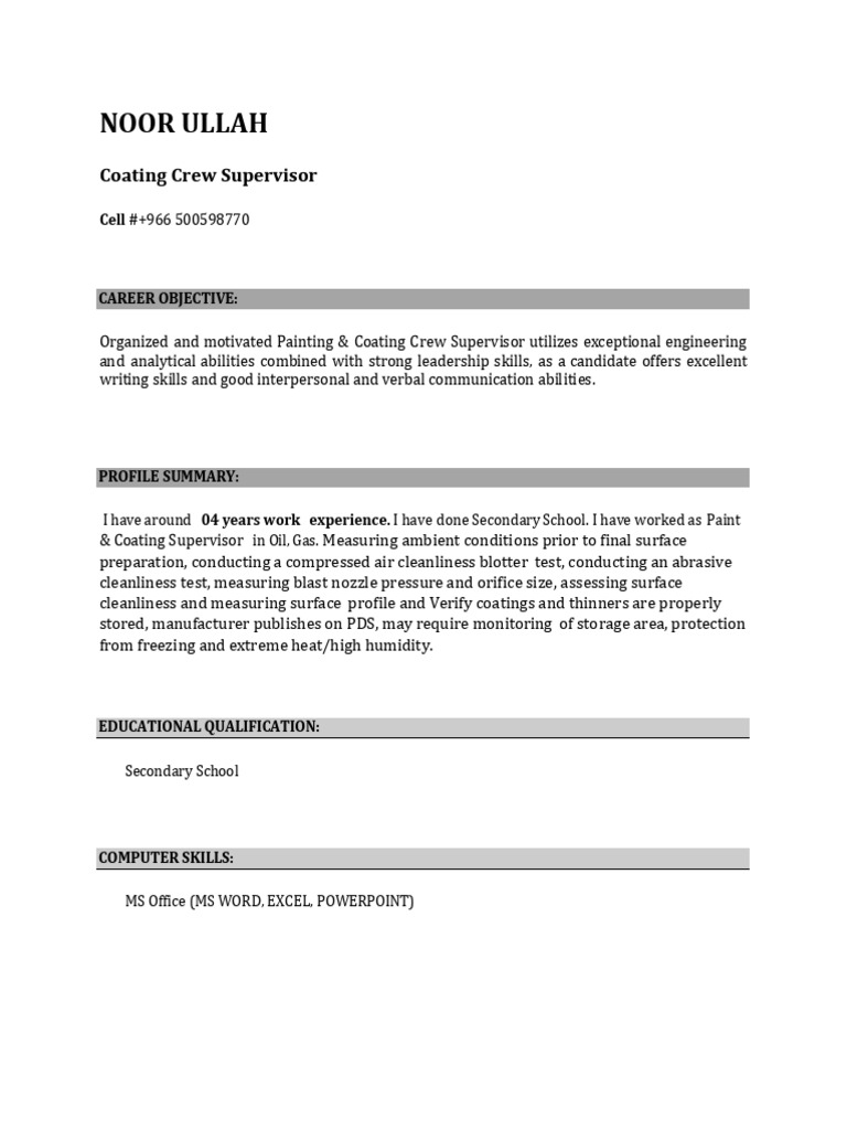 NOOR CV | PDF