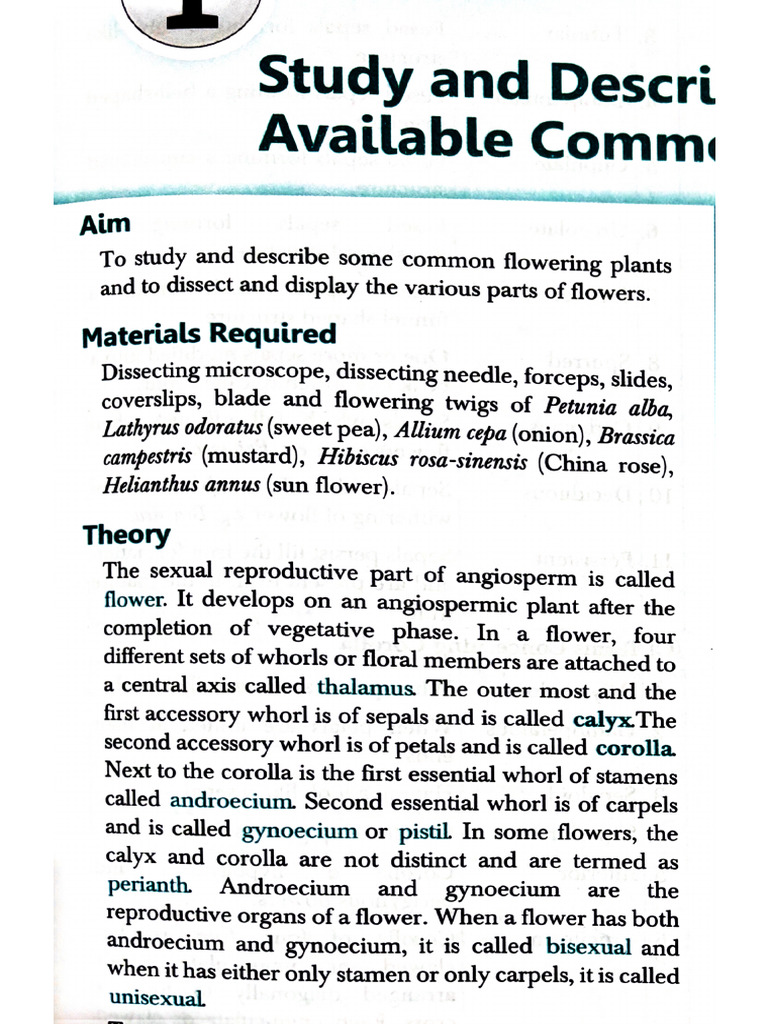 Class 11 Biology Practical File | PDF