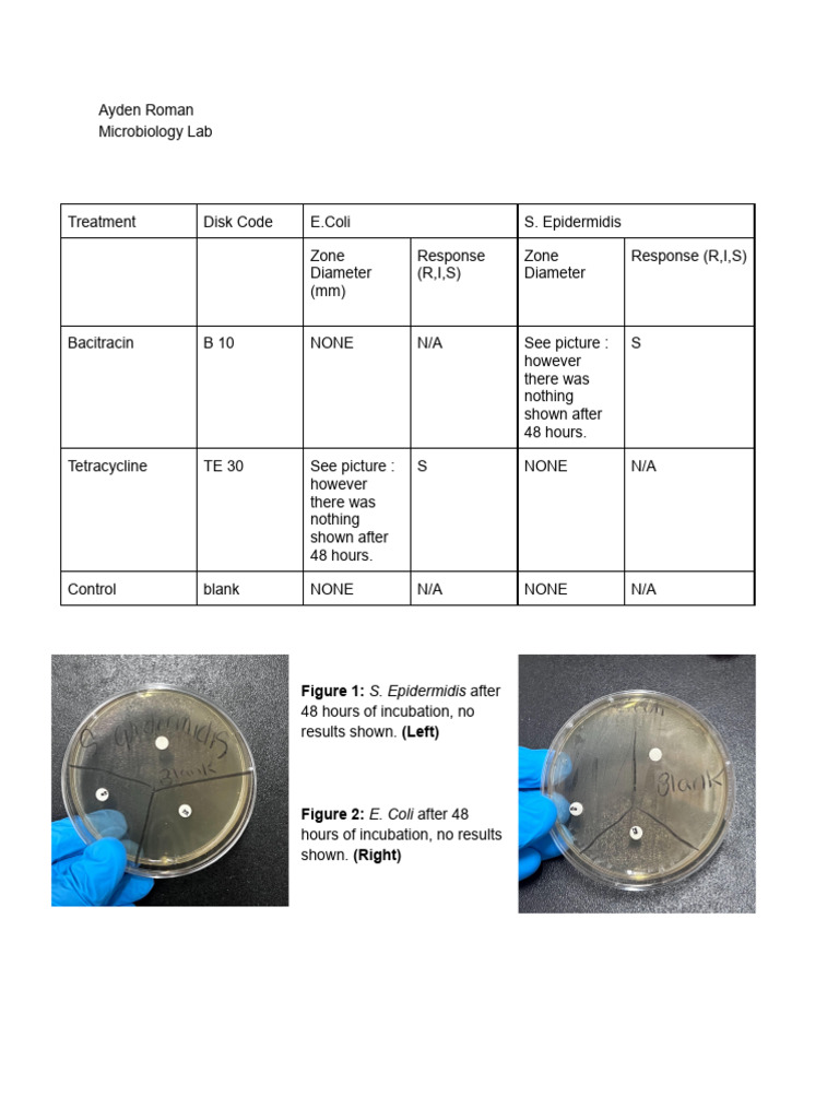 Antibiotic Resistance in E. Coli & S. Epidermidis | PDF | Antibiotics ...