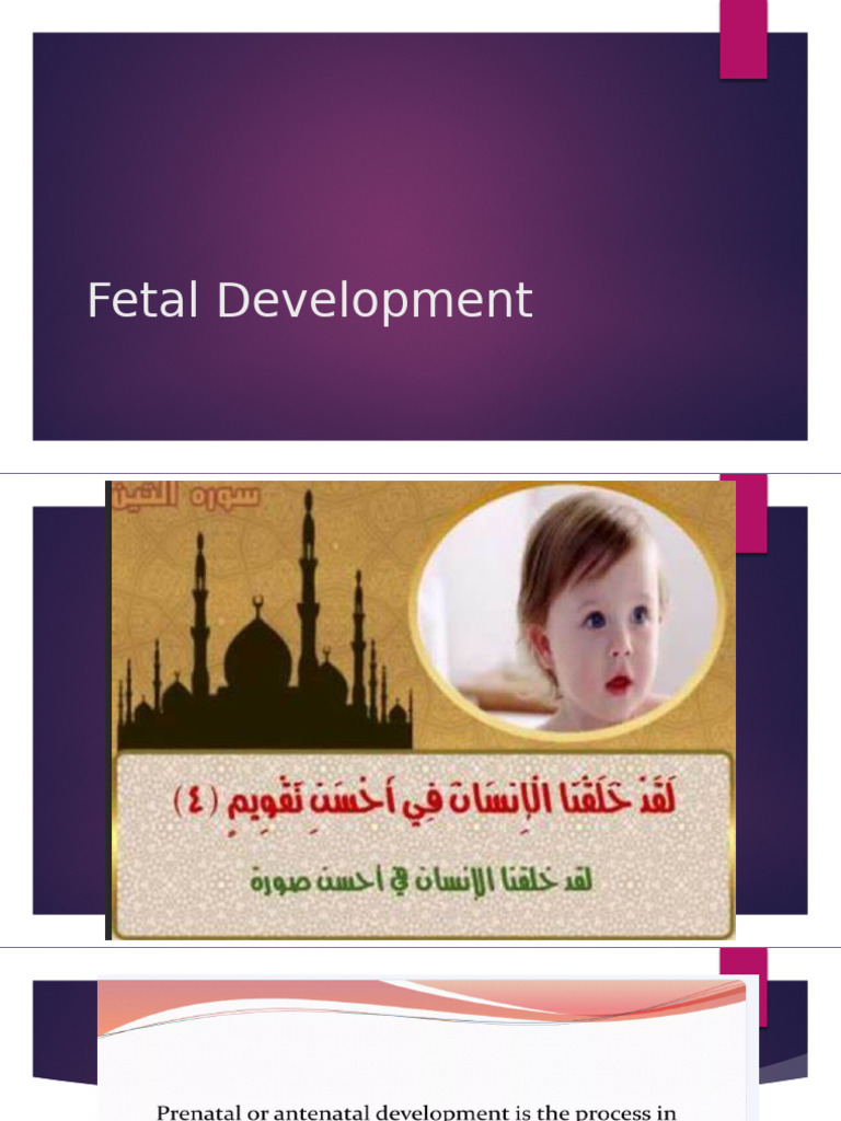 Fetal development | PDF