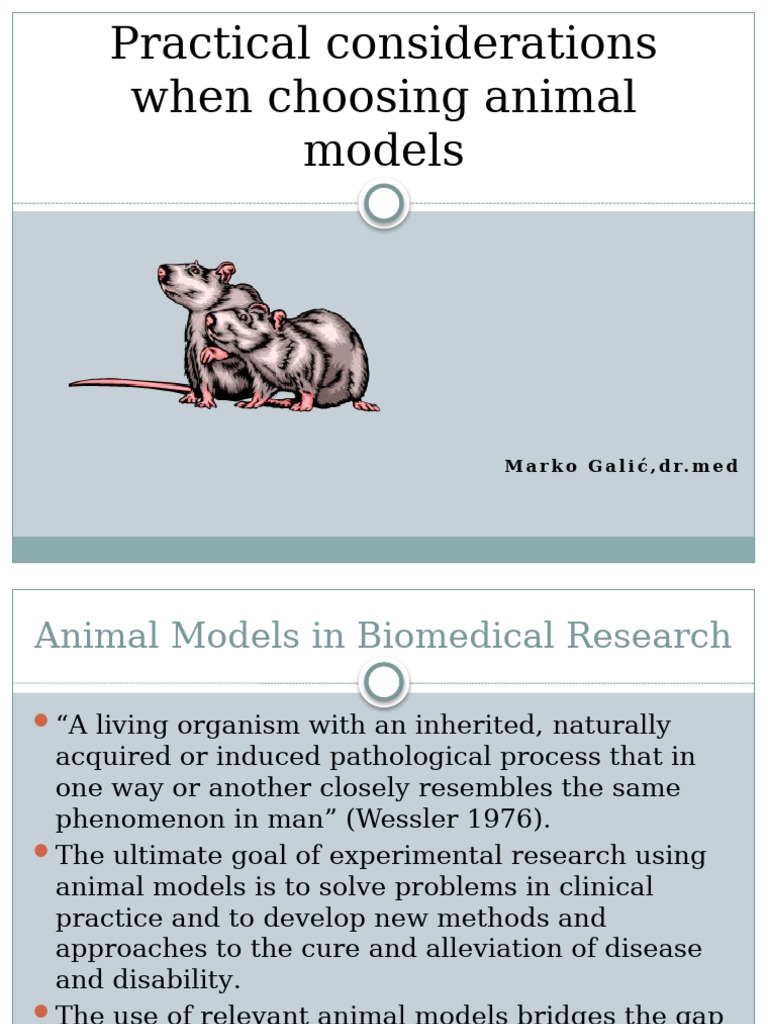 Practical considerations when choosing animal models- završna | PDF ...