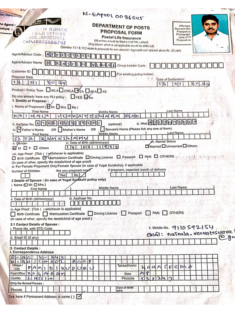Pli Sample | PDF