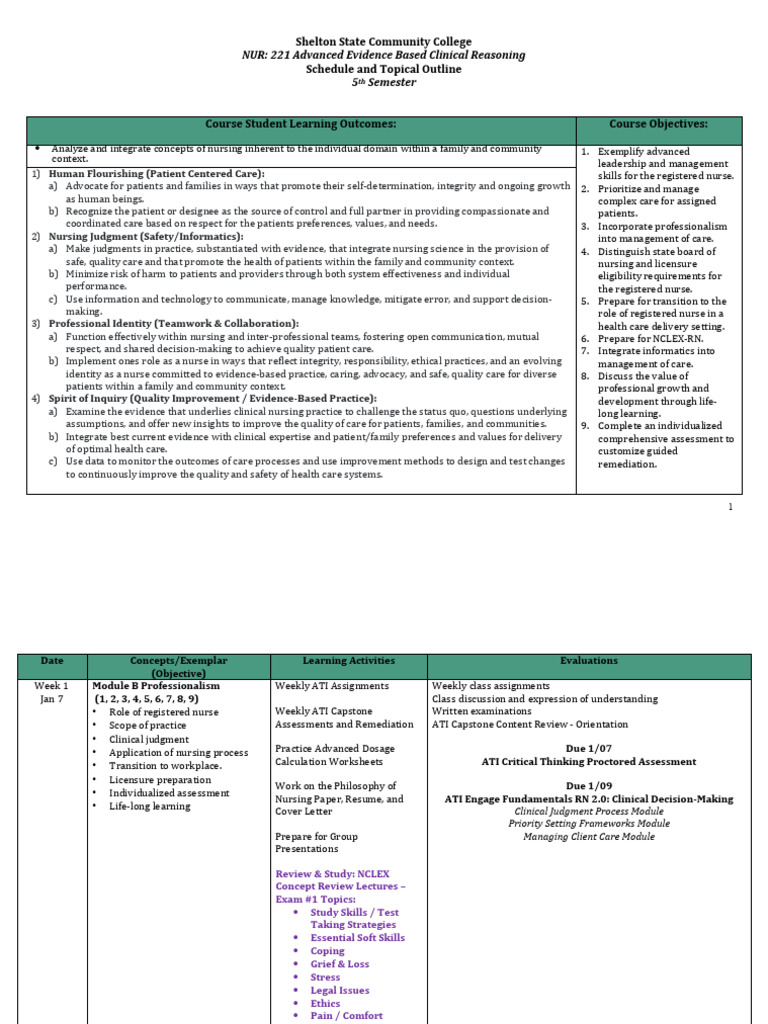 Advanced Nursing Clinical Reasoning Course | PDF | National Council ...
