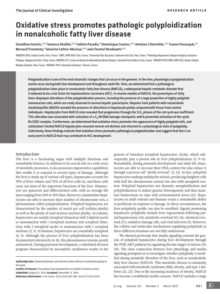Endoreplication | PDF | Ploidy | Liver