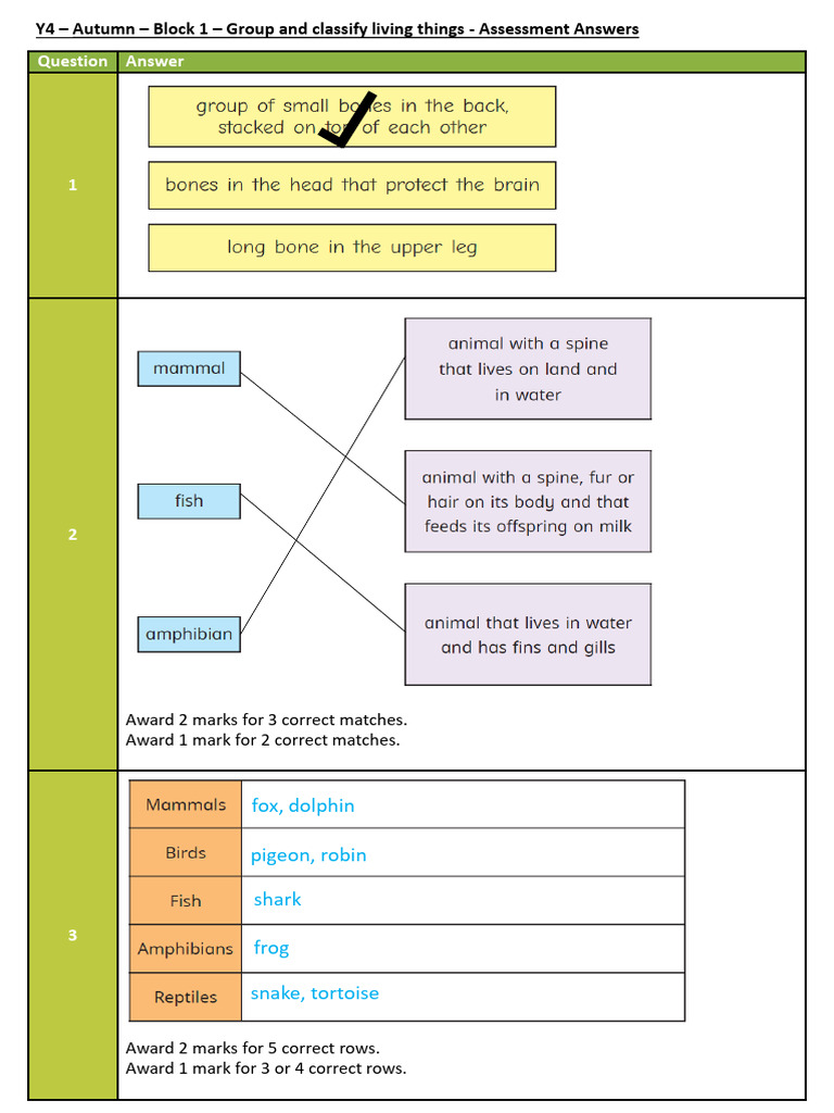 Y4AutEoB1 - Group and Classify Living Things ANSWERS | PDF