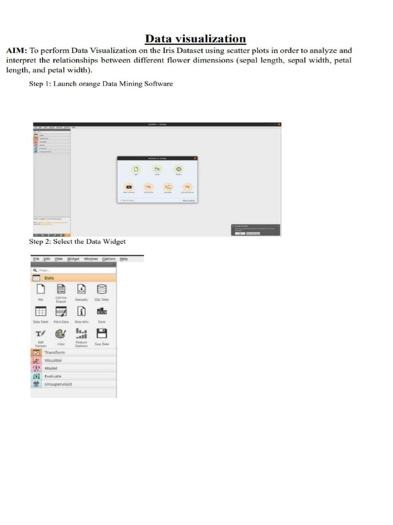 Practical File | PDF