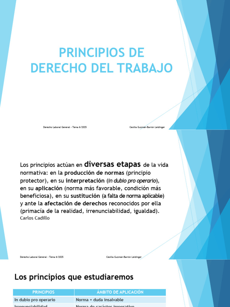 PPT- In Dubio Pro Operario e Irrenunciabilidad, Igualdad y No ...