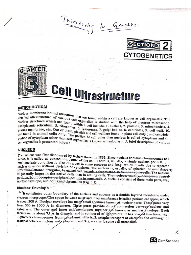 Cell Organelles (Short Notes) | PDF