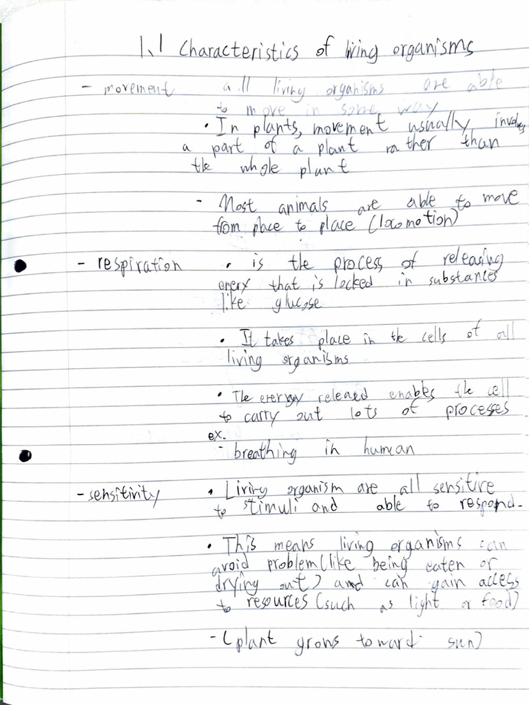 Adobe Scan 11 Sep 2024 | PDF