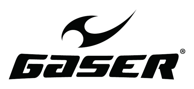 Gaser Logo Editable | PDF