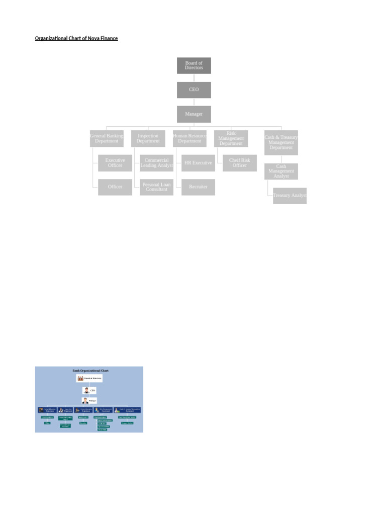 Organizational Chart for Nova Finance | PDF