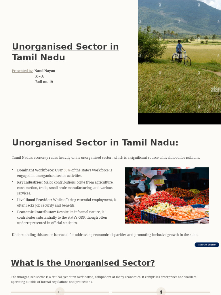 Unorganised Sector Impact in Tamil Nadu | PDF | Employment | Pension
