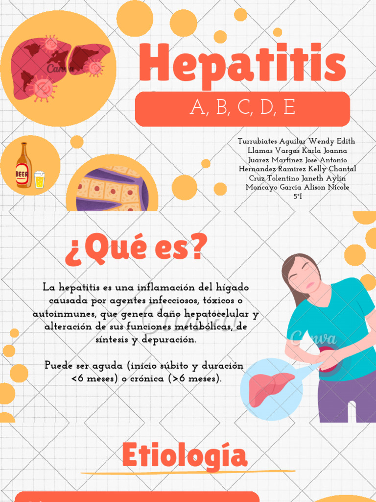 Liver Human Biology Presentation in an Orange and Yellow Bold Style ...