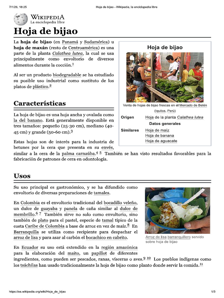 Hoja de Bijao | PDF