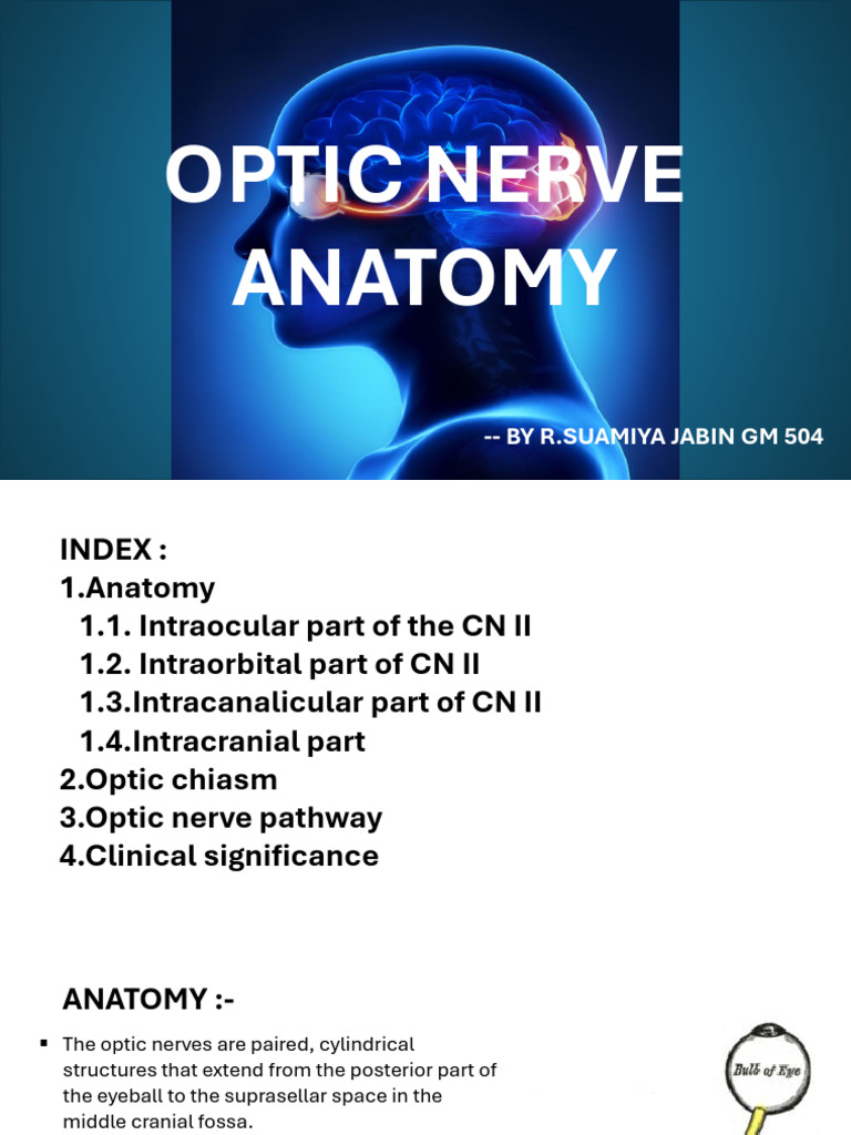 Optic Nerve Anatomy | PDF | Visual System | Retina