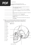 Axial Skeleton Labeling Worksheet | PDF | Vertebral Column | Vertebra