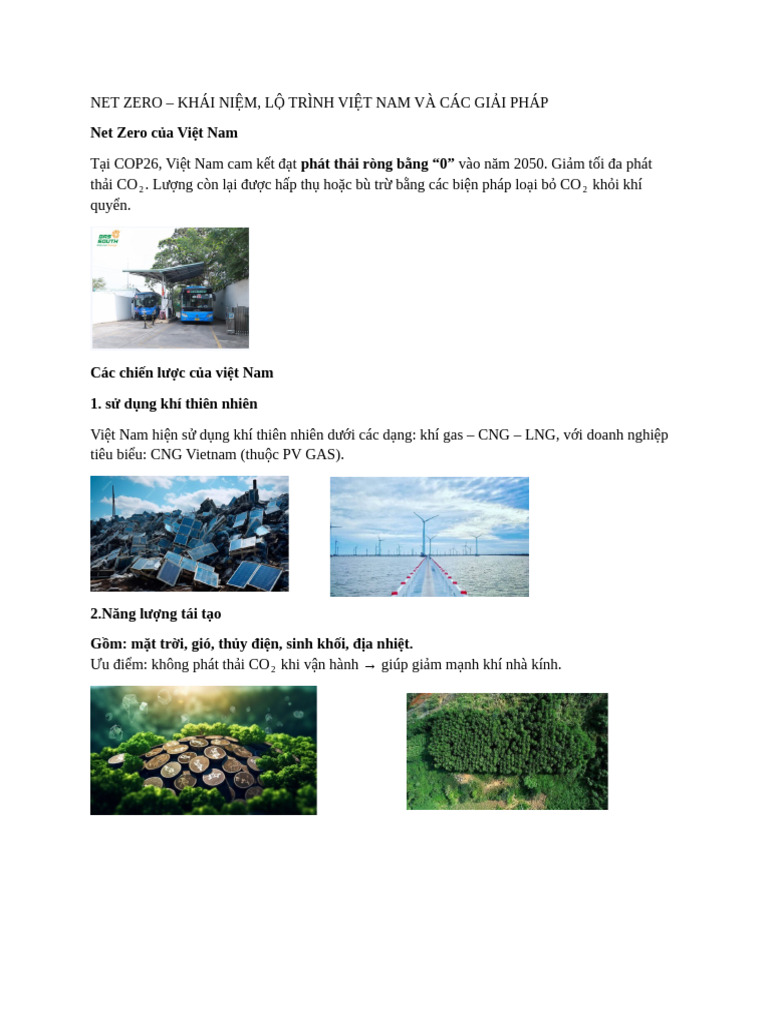 6 Netzero | PDF