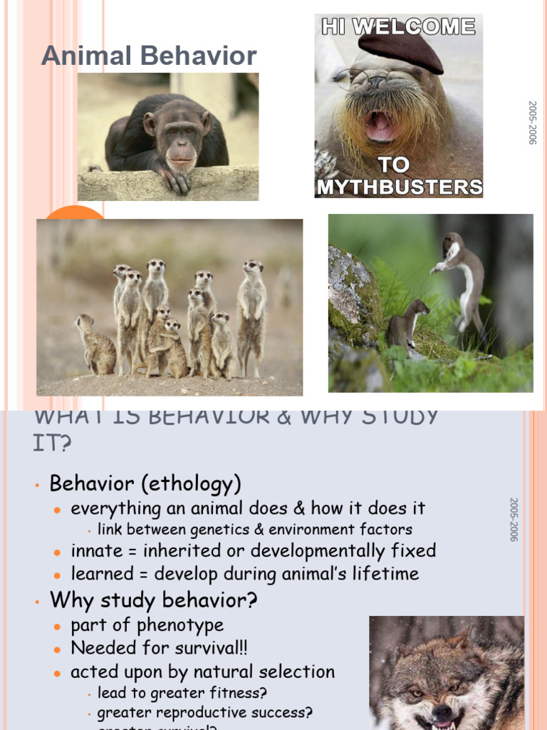 Animal Behavior | PDF | Ethology | Instinct