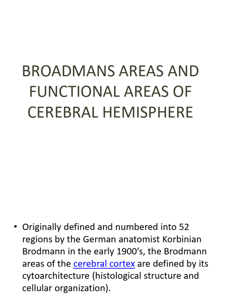 Cortical Mapping | PDF | Dorsolateral Prefrontal Cortex | Cerebral Cortex
