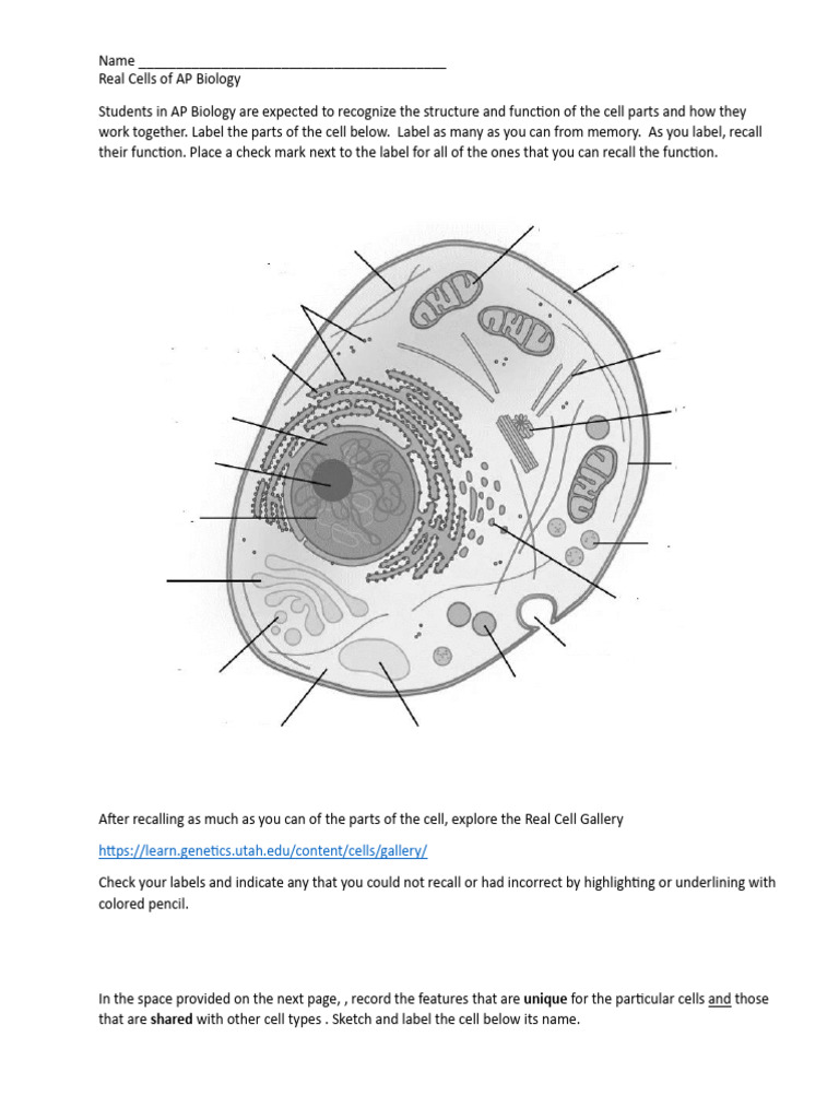 The Real Cells of AP Biology-1 (1) | PDF