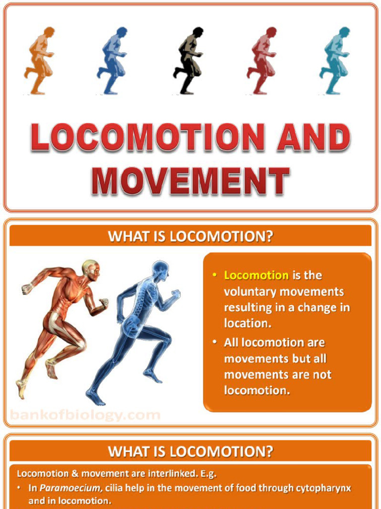 Locomotion and Movement PPT | PDF
