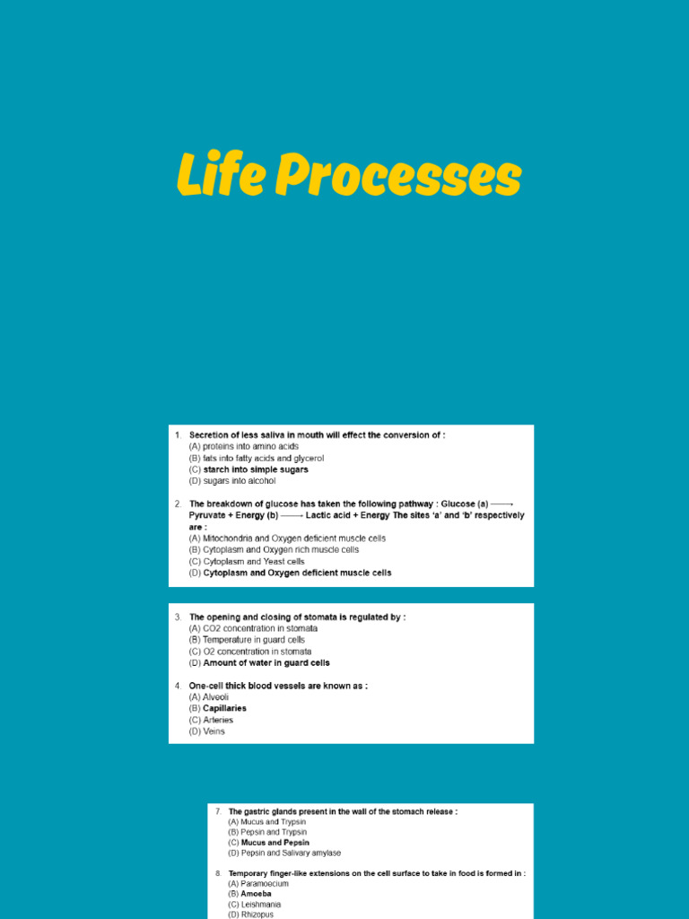 Life Processes | PDF