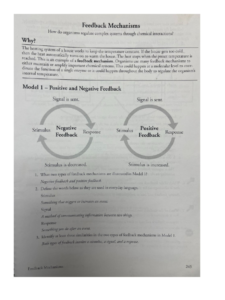 Feedback Mechanisms | PDF