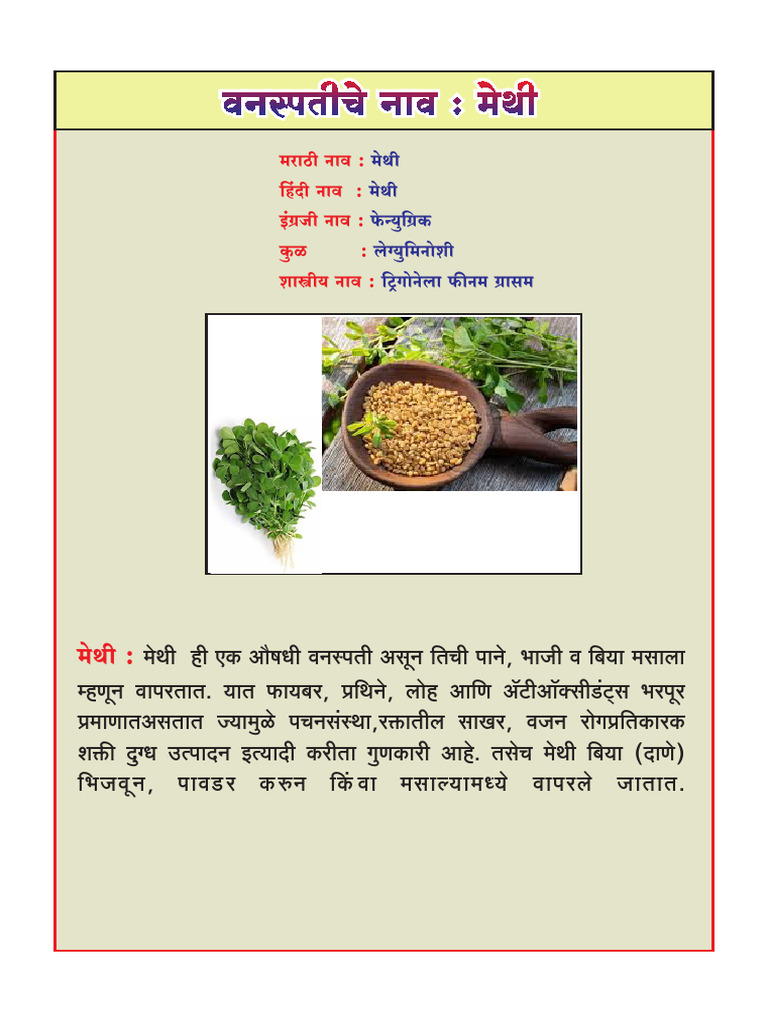 Rasve Sir Plant | PDF