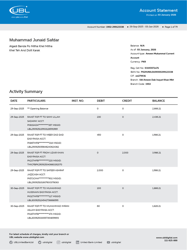 Detailed Account Statement PKR | PDF | Debits And Credits | Pakistan