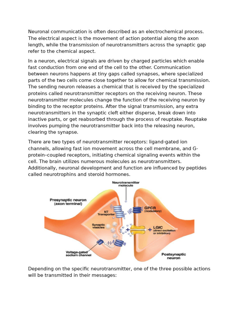 Neuronal Communication Is Often Described As An Electrochemical Process ...