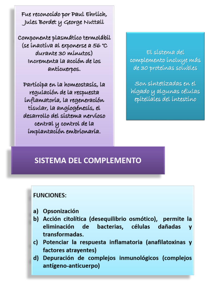 Activación del sistema del complemento | PDF