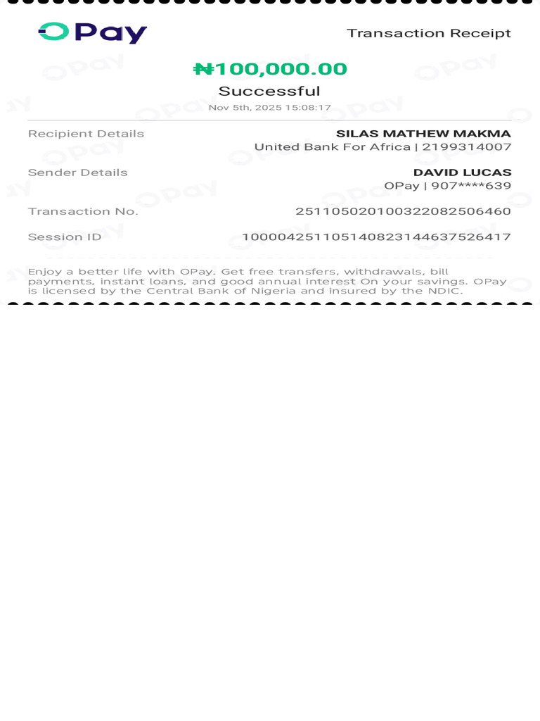 OPay Transaction Receipt - ₦100,000 Success | PDF
