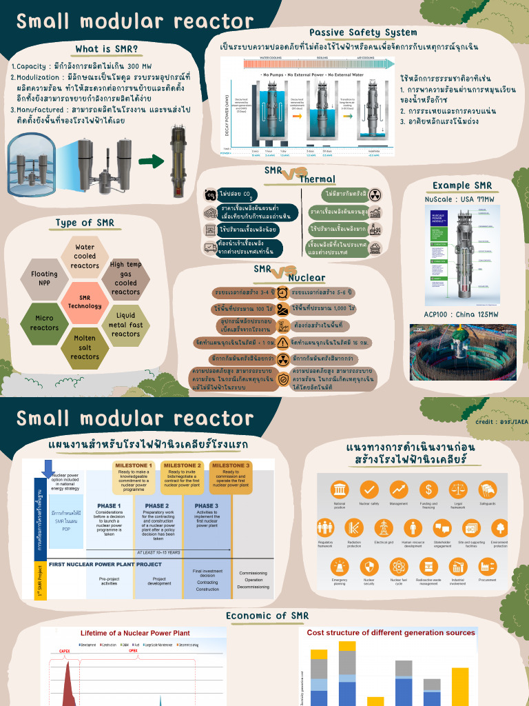 SMR One-Page Summary | PDF