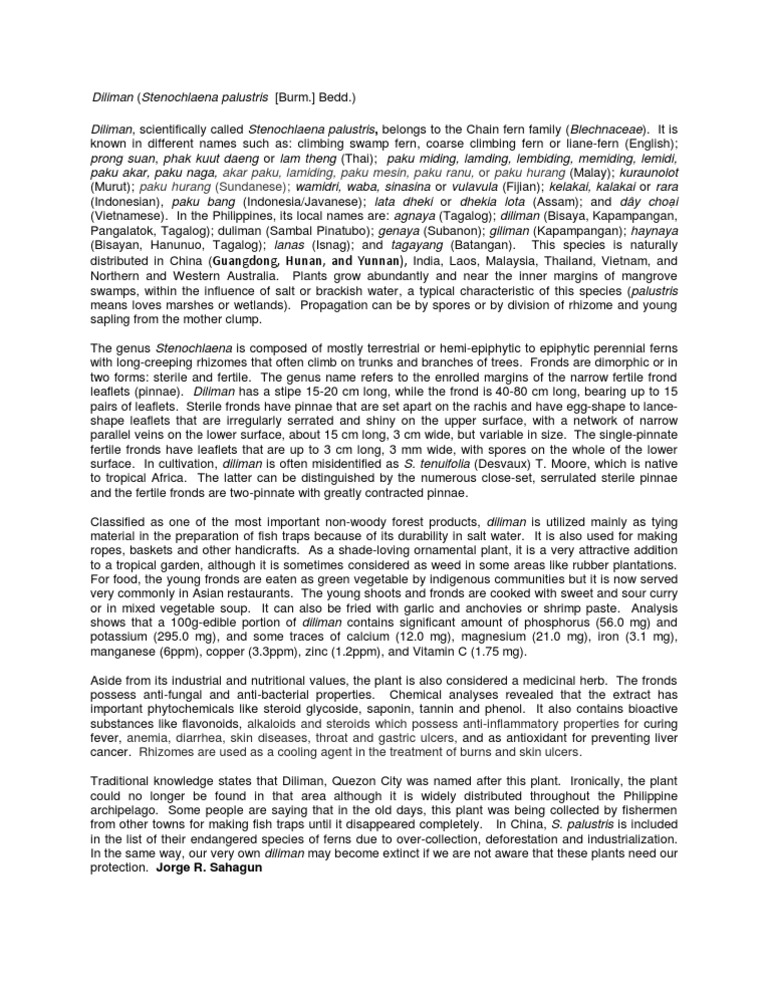 Diliman: The Versatile Climbing Fern | PDF | Magnesium | Fern