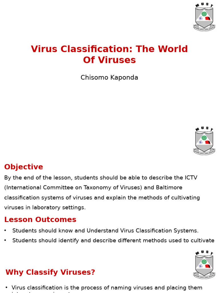 Classification of Viruses-1 | PDF | Virus | Rna
