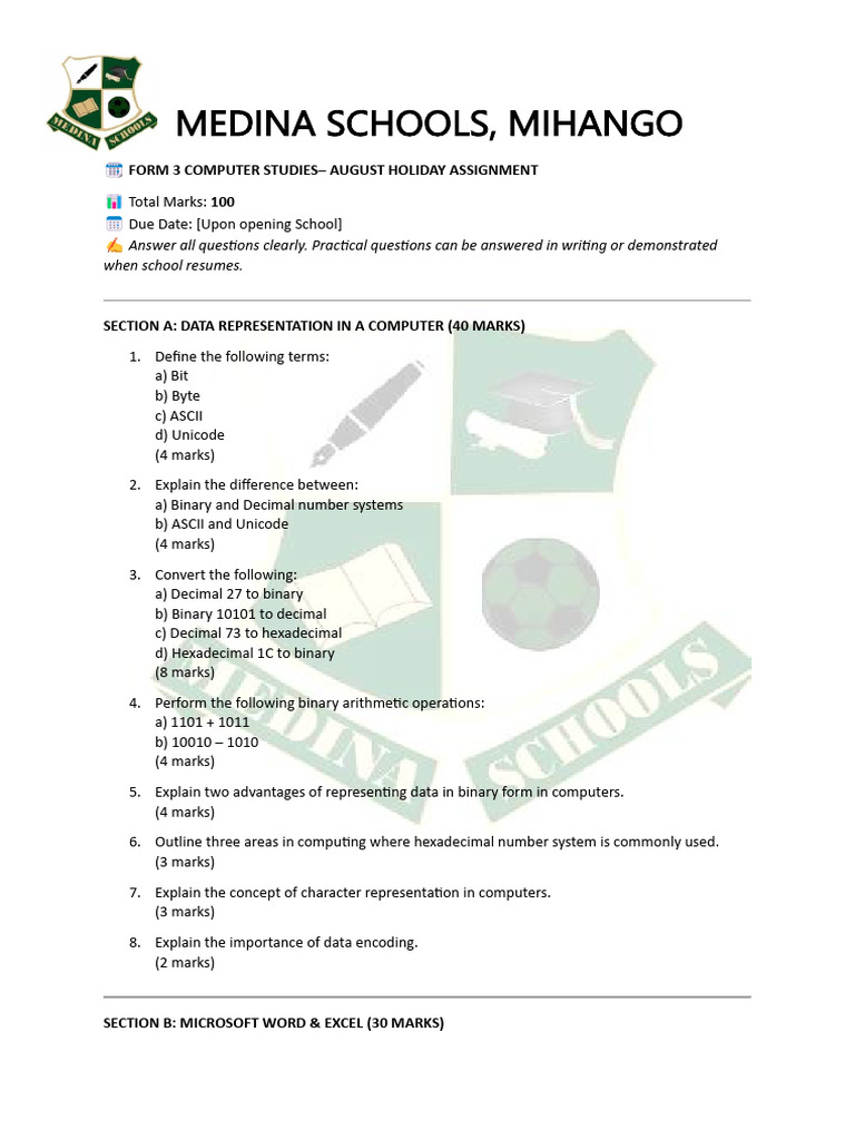 Form 3 Aug Holiday Assignment | PDF | Microsoft Excel | Computer Data