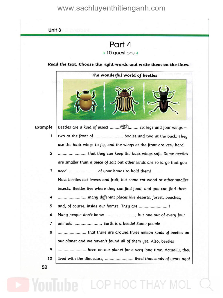 Skills Builder Flyers 2. Reading & Writing Test 3 - Part 4,5,6 | PDF