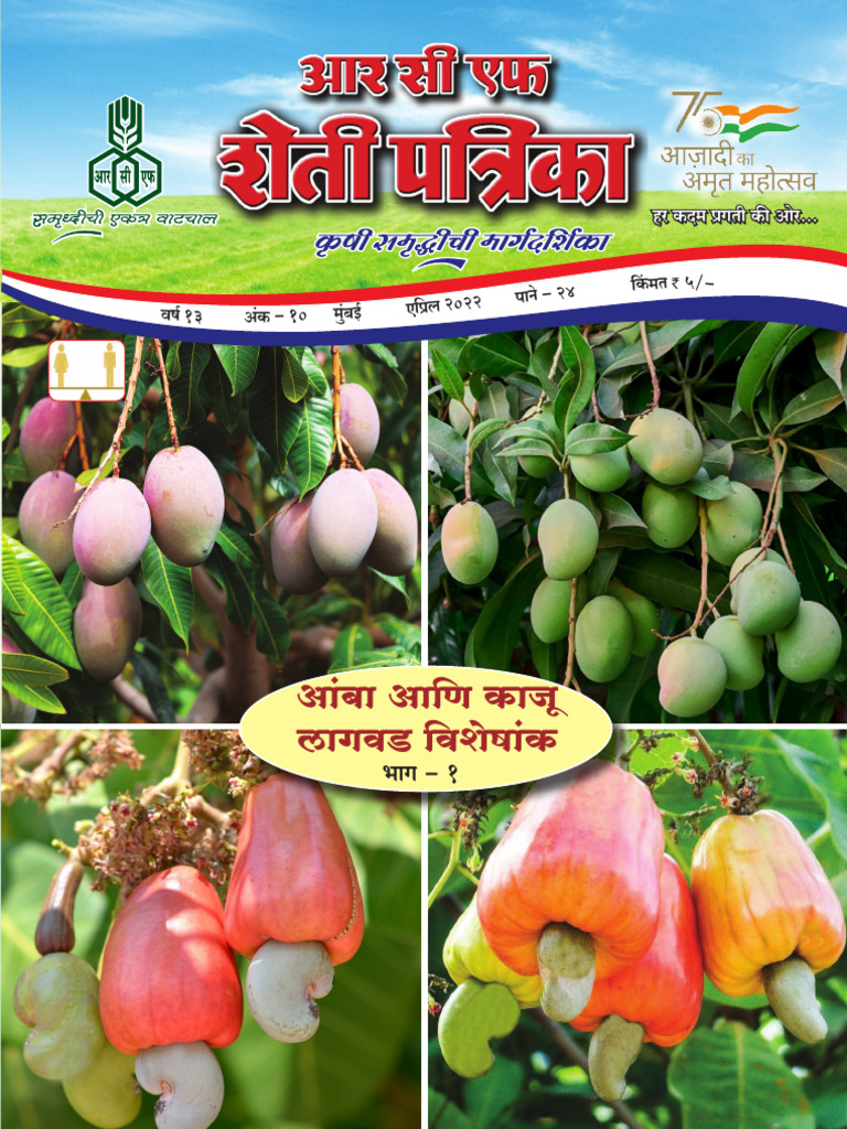 Marathi Lekh Mango Cultivation | PDF