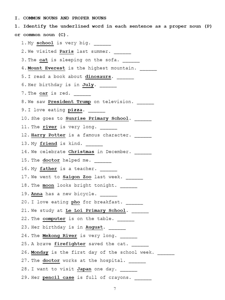 Common vs. Proper Nouns Worksheet | PDF