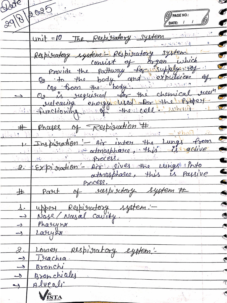 respiratory system bsc nursing anatomy notes of 1st year | PDF